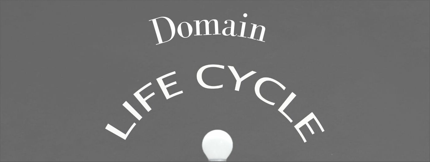 From First Click to Final Tick: Navigating the Life Cycle of a Domain ...