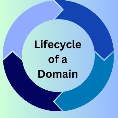 From First Click to Final Tick: Navigating the Life Cycle of a Domain ...